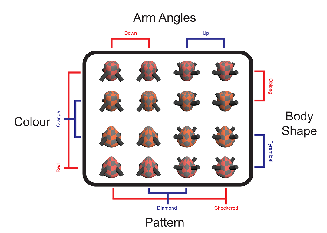 Quaddles – Attention Circuits Control Lab